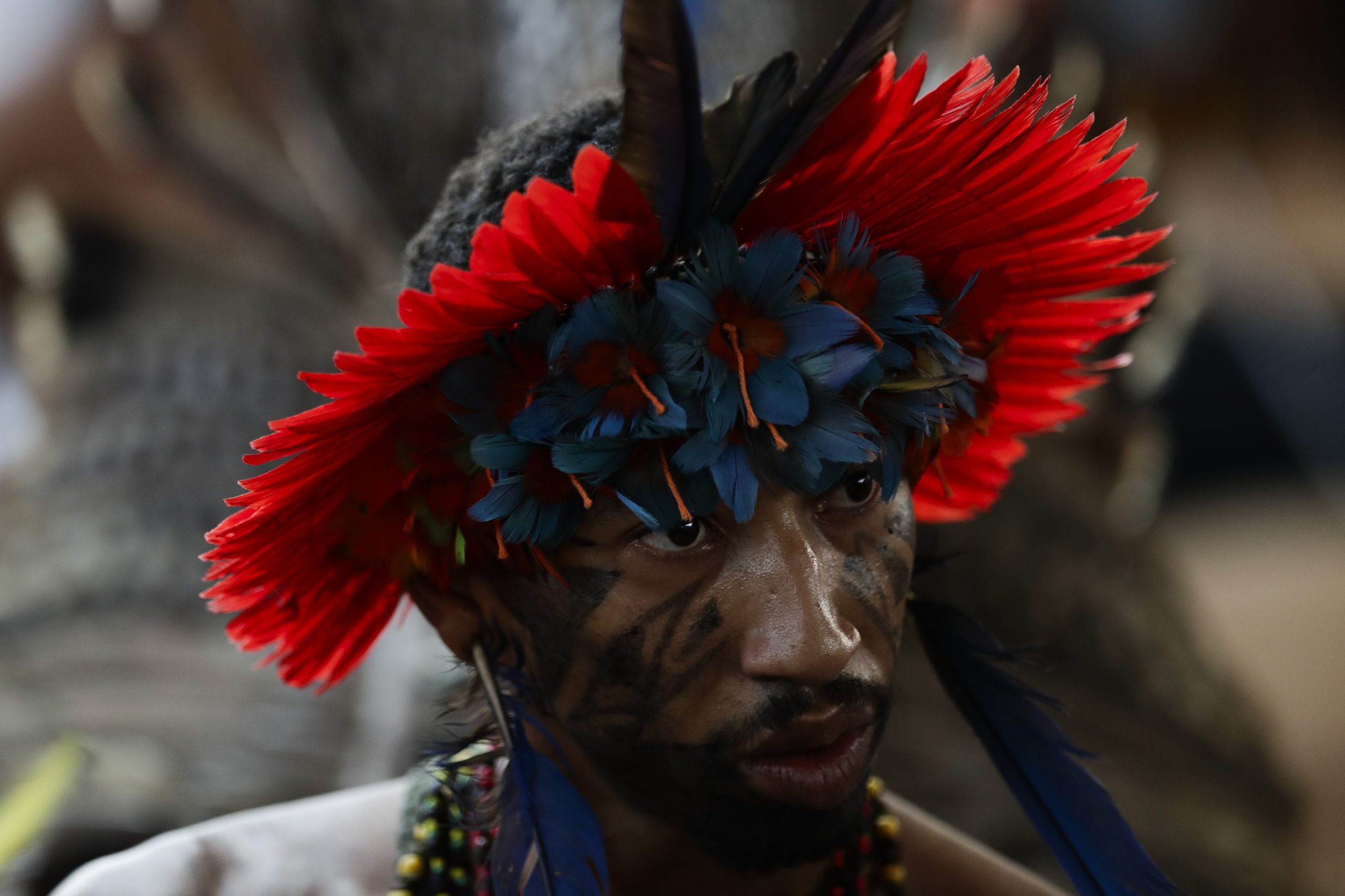 Brazil Indigenous group hails a sacred cloak's homecoming after ...