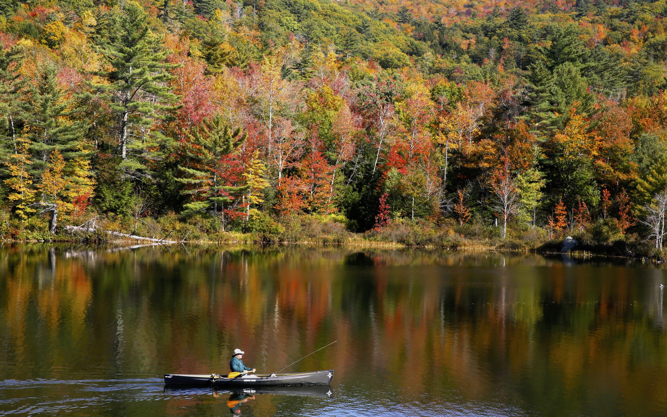 Leaf-peepers are flocking to see New England's brilliant fall colors ...