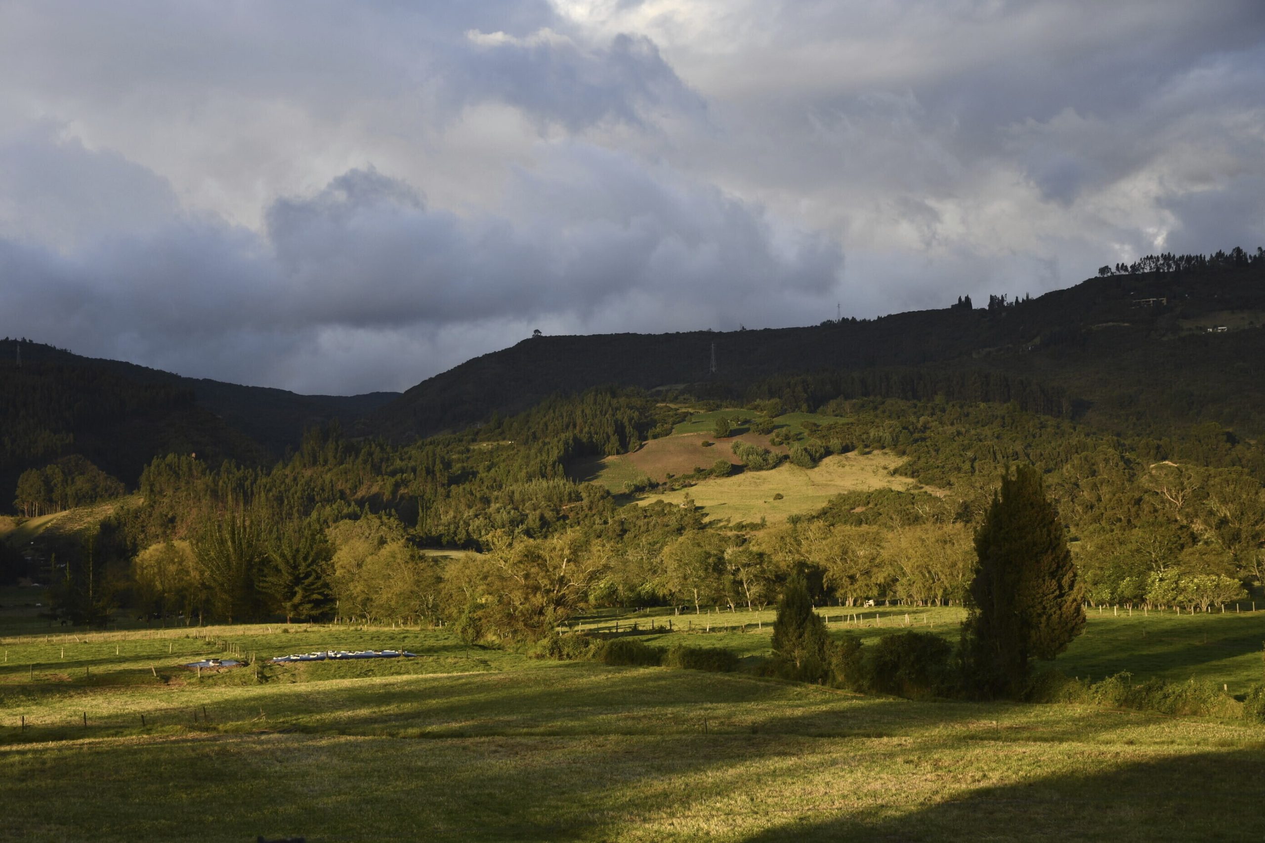 Ancient DNA reveals a new group of people who lived near land bridge ...