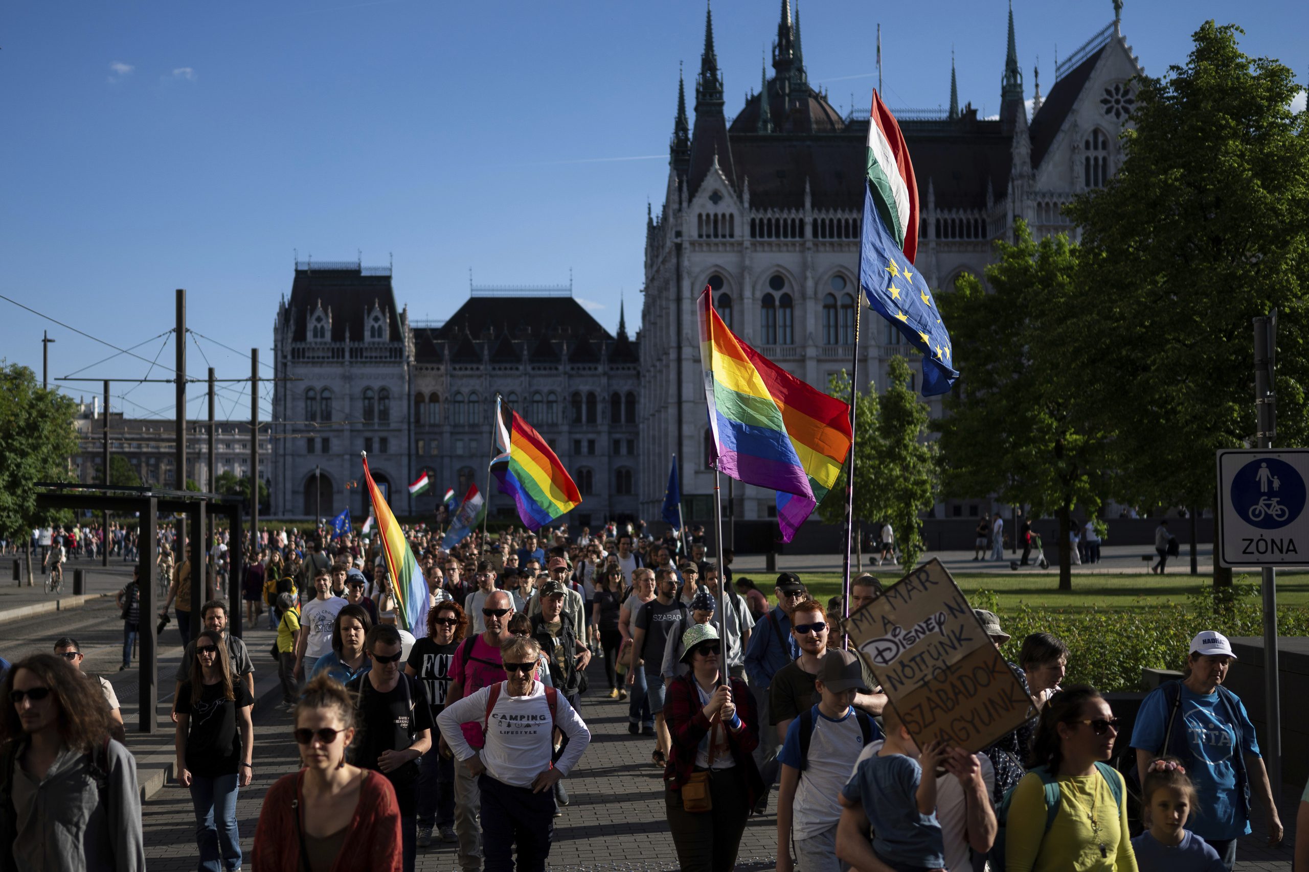 EU court urged to rule against Hungary's anti-LGBTQ+ law - SRN News