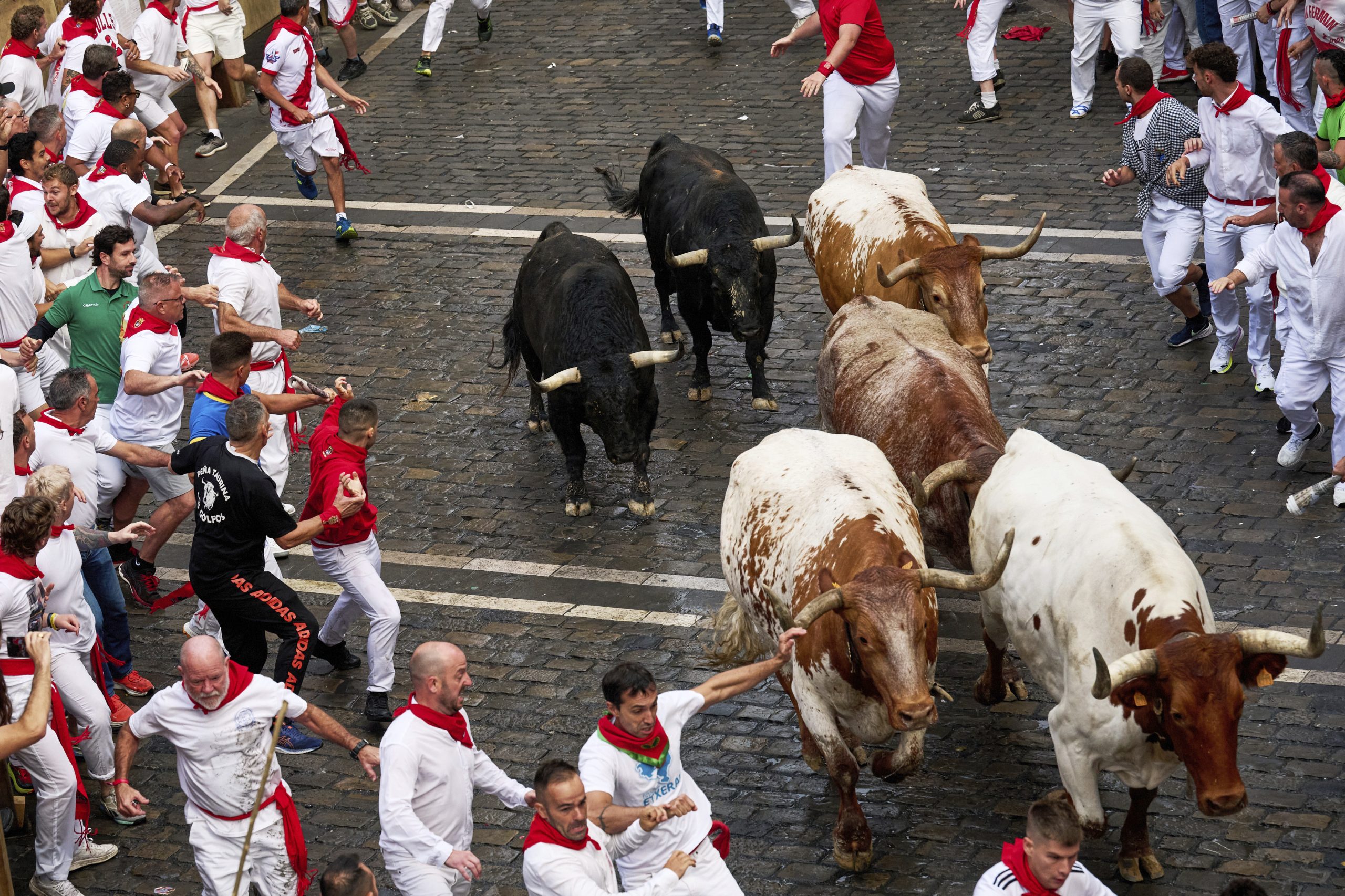 Daredevils run with charging bulls at Pamplona's famous San Fermín ...
