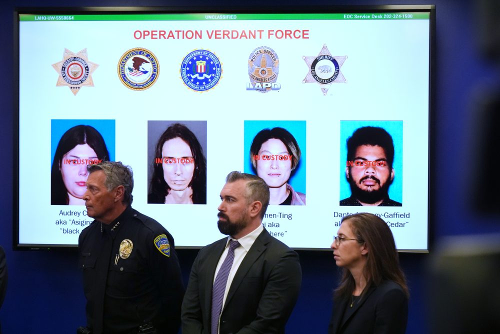 Suspects plead not guilty in Southern California bombing plot - WYSL ...