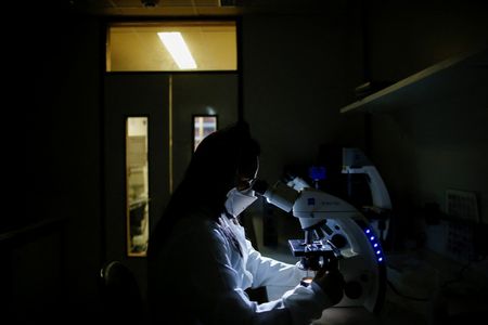 Older drug reprograms white blood cells, improves blood sugar in type 1 ...